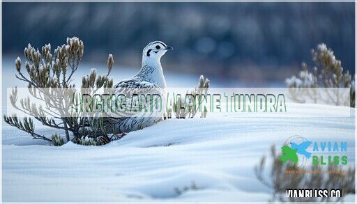 Willow Ptarmigan: Arctic Bird's Amazing Seasonal Transformations