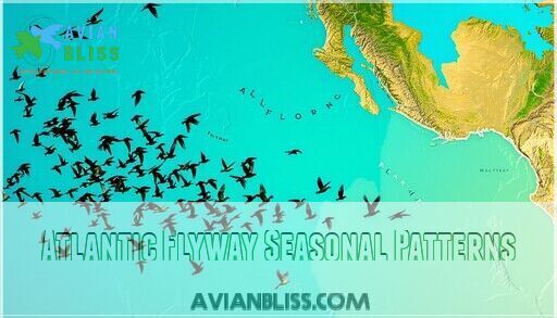 Bird Species Migration Maps: Live Tracking Tools & Interactive Flyways