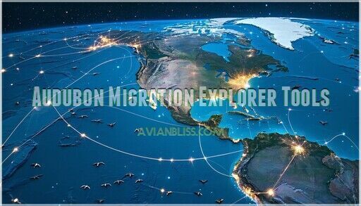 Bird Species Migration Maps: Live Tracking Tools & Interactive Flyways