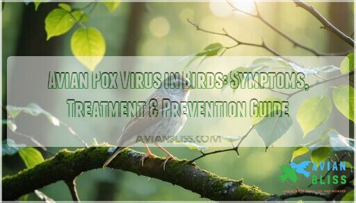 Avian Pox Virus in Birds: Symptoms, Treatment & Prevention Guide