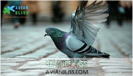 Pigeon Twisted Neck and Balance Issues: Causes, Treatment & Care