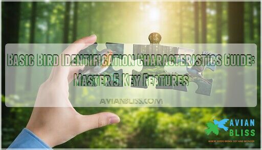 Basic Bird Identification Characteristics Guide: Master 5 Key Features