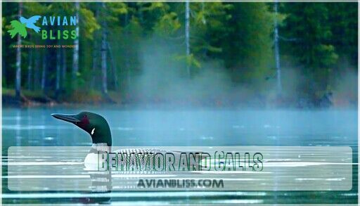 Red-Throated Loon: Complete Guide to ID, Habitat & Behavior (2025)