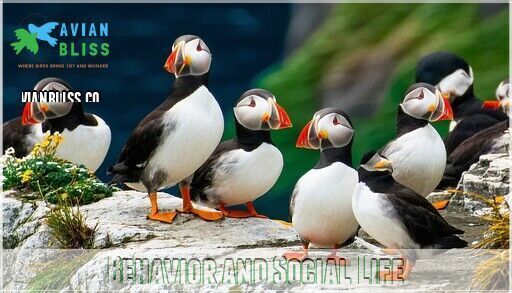 Tufted Puffin: Colorful Arctic Seabird Facts & Habitat Guide