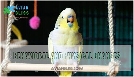 Bird Molting: What It Is, Why Birds Molt, and How You Can Help During Molt