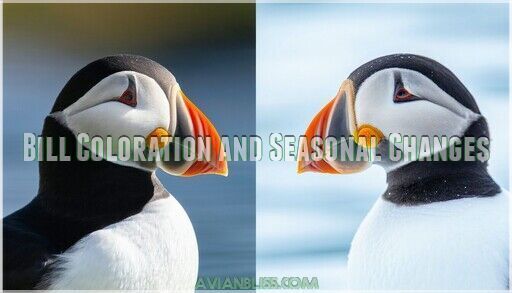 Tufted Puffin: Colorful Arctic Seabird Facts & Habitat Guide