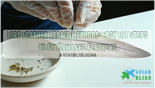 Bird Feather Repair Methods: Easy DIY Steps to Fix Damaged Feathers