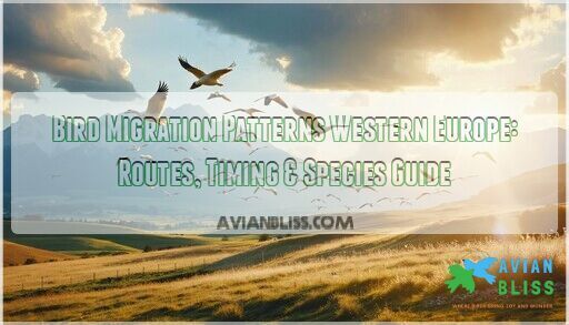 Avian Migration Behavior Tips: 6 Secrets Birds Use to Navigate