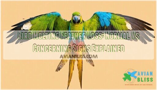 Bird Molting Feather Loss: Normal Vs Concerning Signs Explained