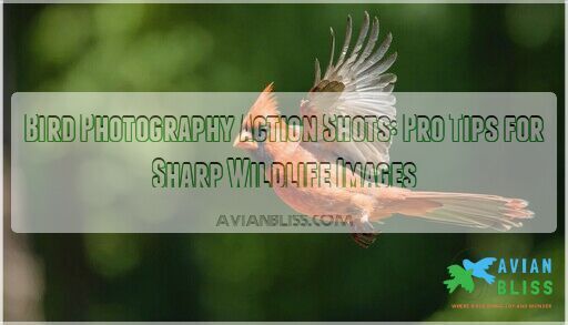 Bird Photography Action Shots: Pro Tips for Sharp Wildlife Images