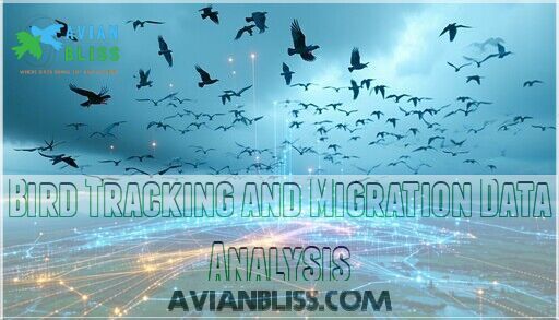 Protecting Bird Migration Routes: 7 Science-Backed Ways to Save Birds