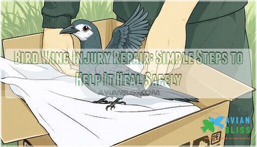 Bird Wing Injury Repair: Simple Steps to Help It Heal Safely