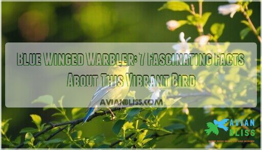 Blue Winged Warbler: 7 Fascinating Facts About This Vibrant Bird