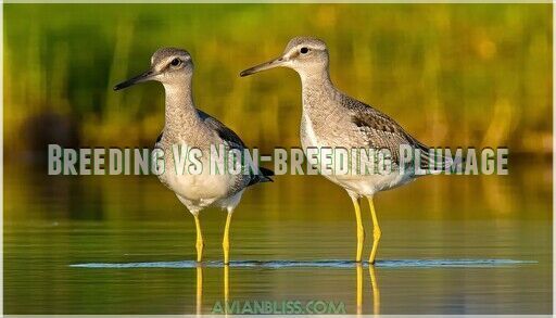 Lesser Yellowlegs: Complete ID Guide & Migration Facts (2025)