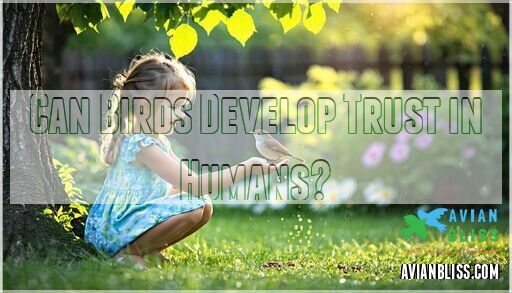 Why Are Birds Scared of Humans? Science Behind Their Fear Response