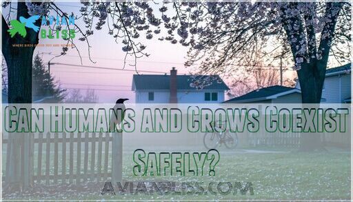Why Crows Attack: Prevention Tips & Safe Coexistence Guide