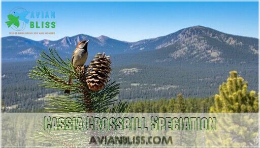 Red Crossbill Guide: ID Tips, Habitat & Fascinating Cone-Cracking Facts