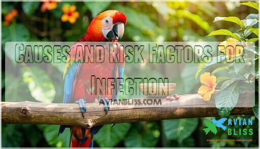 Bird Bacterial Infections: Symptoms, Causes & Treatment Guide