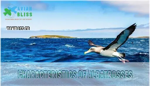 Largest Wingspan Bird: Top 10 Giants That Rule The Skies (2025)