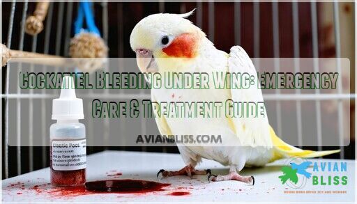 Cockatiel Bleeding Under Wing: Emergency Care & Treatment Guide