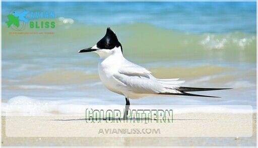 Red-Throated Loon: Complete Guide to ID, Habitat & Behavior (2025)