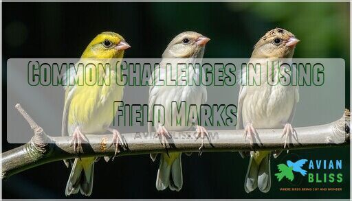 Field Marks: Complete Guide to Wildlife & Bird Identification Tips