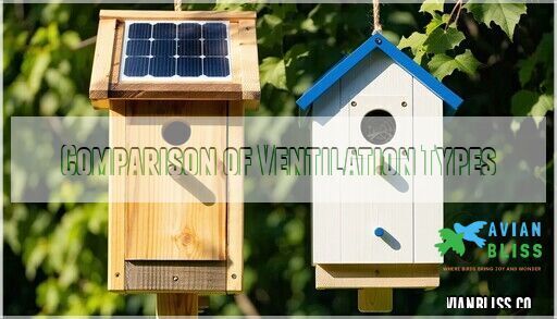 Bird House Ventilation Requirements: Keep Your Birds Safe & Healthy