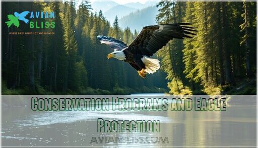 How Much is a Bald Eagle Feather Worth? Legal Facts & Values 2025