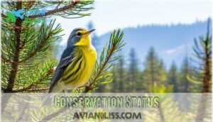 Nashville Warbler: Habitat, Migration, and Identification Guide