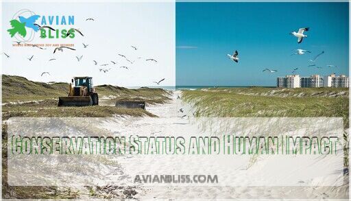 Laughing Gull: Complete ID Guide, Habitat & Behavior Facts