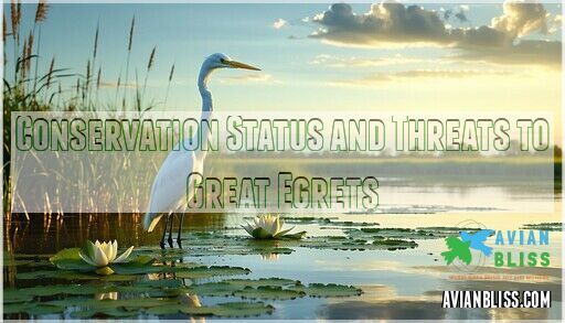 Great Egret: Complete Guide to North America's Tallest White Heron