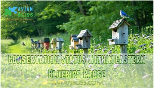 Eastern Bluebird Range: Complete Guide to Their North American Habitat