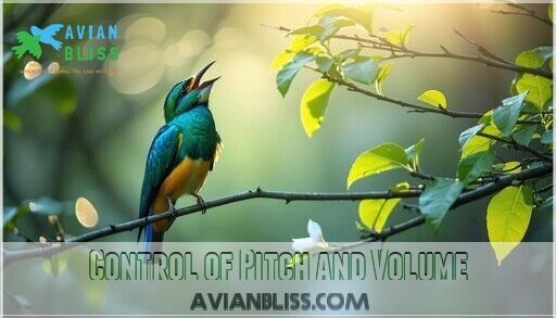 Why Do Birds Sing? 6 Surprising Reasons That Will Amaze You