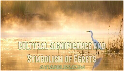 Egrets Explained: Beautiful White Waders of North American Wetlands