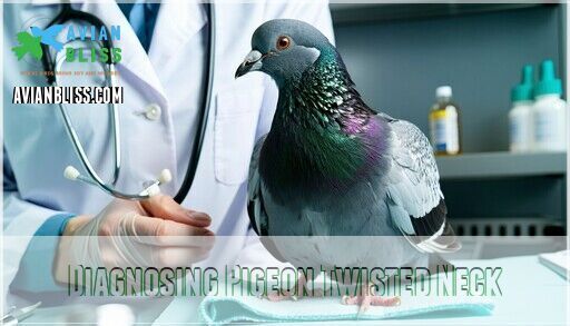 Pigeon Twisted Neck and Balance Issues: Causes, Treatment & Care