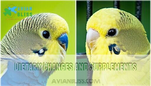 Budgie Beak Overgrown: 5 Causes + How to Fix It Safely (2025 Guide)