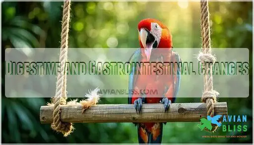Bird Bacterial Infections: Symptoms, Causes & Treatment Guide