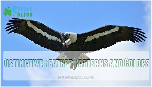 Facts About The Andean Condor: 15 Amazing Secrets of This Giant Bird