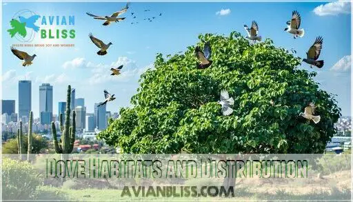 Types of Doves: 25+ Species Guide With Photos & ID Tips (2025)