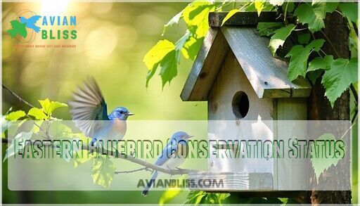 Eastern Bluebird Habitat: Complete Guide to Nesting & Conservation