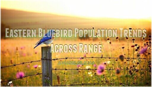 Eastern Bluebird Range: Complete Guide to Their North American Habitat