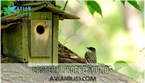 What Bird is Making Noise: Quick ID Guide for Common Bird Sounds