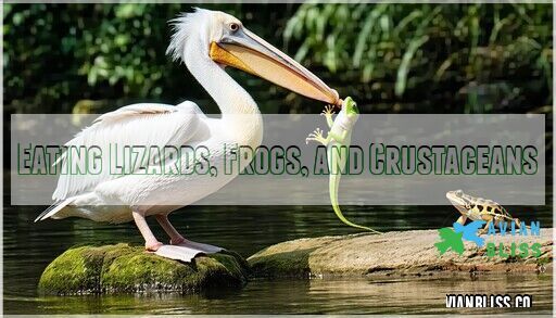 Why Do Pelicans Eat Other Birds? Shocking Predatory Secrets