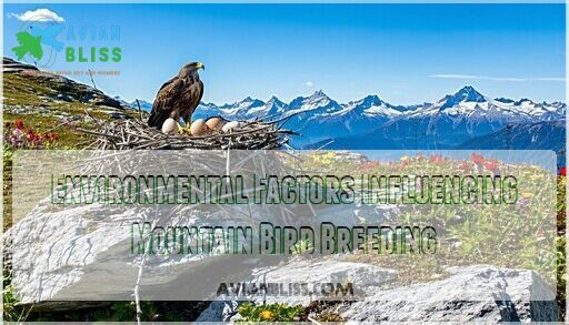 Mountain Bird Breeding Grounds: Where High-Altitude Species Nest