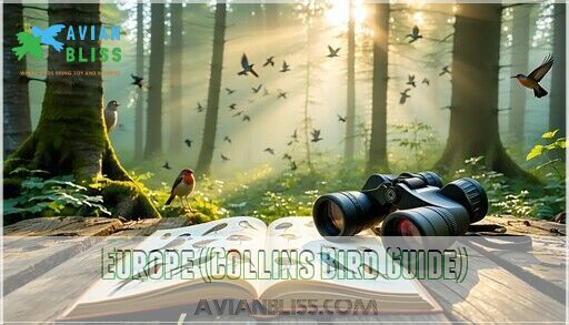 Birdwatching Field Guide Comparison: Best Print Vs Digital 2025