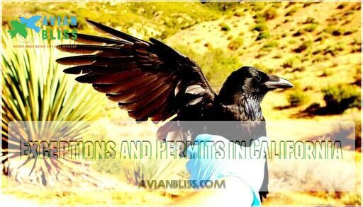 Why is It Illegal to Own a Crow? Surprising Facts Revealed!