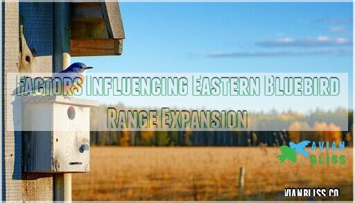 Eastern Bluebird Range: Complete Guide to Their North American Habitat