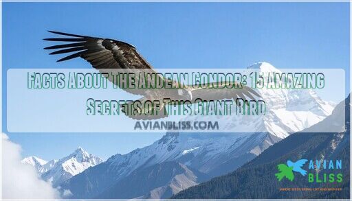 Facts About The Andean Condor: 15 Amazing Secrets of This Giant Bird