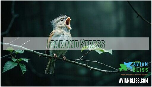 What is The Reason That Some Birds Have Such Loud Cries? 5 Key Facts