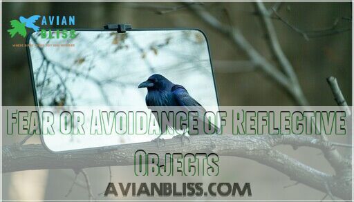 Are Crows Attracted to Shiny Objects? The Surprising Truth Revealed